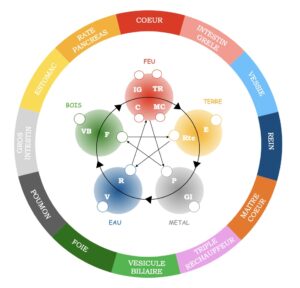 Santé par le toucher (TFH): les muscles et ses méridiens - KCS 33